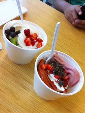 Go Yo! Frozen Yogurt Franchise Costs and Franchise Info for 2022 ...