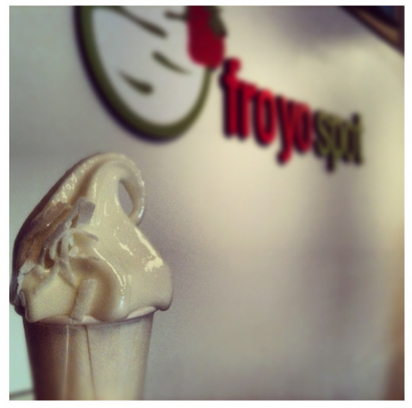 Fro Yo Spot Franchise Costs and Franchise Info for 2022 | Franchise Clique