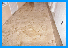 OverCrete Franchise Costs & Franchise Info | Franchise Buy