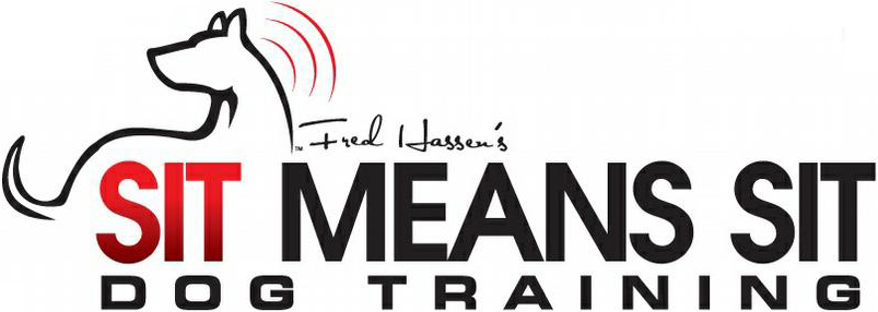 Sit Means Sit Franchise Costs and Franchise Info for 2020 ...