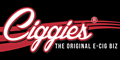 Ciggies Electronic Cigarettes Franchise Costs and Franchise Info for ...